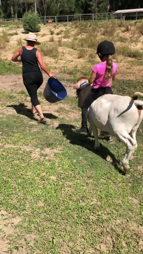 Calf Girl Stock Video Footage | Royalty Free Calf Girl Videos | Pond5