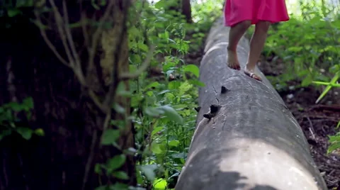 Little Girl Runs Down A Fallen Tree In T... | Stock Video | Pond5