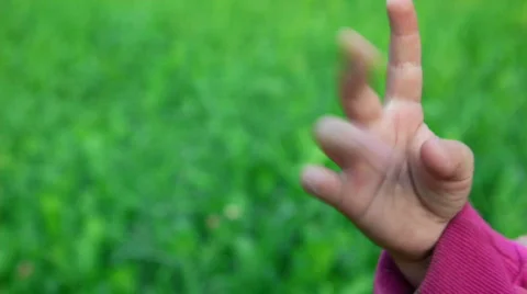 little girl shaking one's finger on gree... | Stock Video | Pond5
