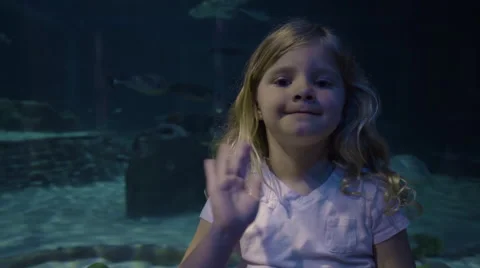 Girl Sharking Stock Videos – Royalty-Free HD & 4K Videos