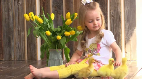 Stroke Duck Stock Footage ~ Royalty Free Stock Videos | Pond5