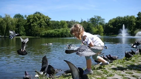 Little Girl is trying to catch a Pigeon ... | Stock Video | Pond5