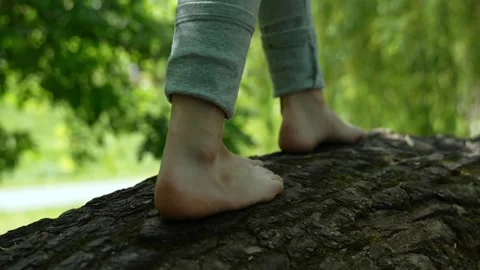 Little girl's feet walk on a wooden tree... | Stock Video | Pond5
