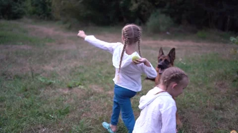 little girls sisters play with german sh... | Stock Video | Pond5