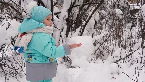 Little Kid Tit Stock Videos – Royalty-Free HD & 4K Videos | Pond5