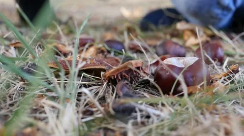 Lift Up Kid Stock Videos – Royalty-Free HD & 4K Videos