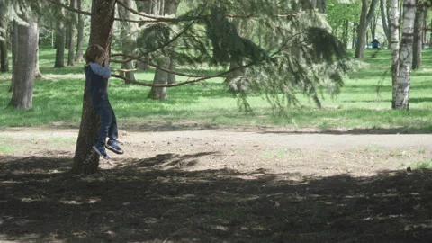 Little kid pull-ups on tree branch, arm ... | Stock Video | Pond5