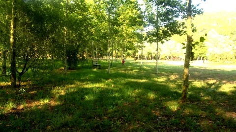 Little kid running through the trees of ... | Stock Video | Pond5