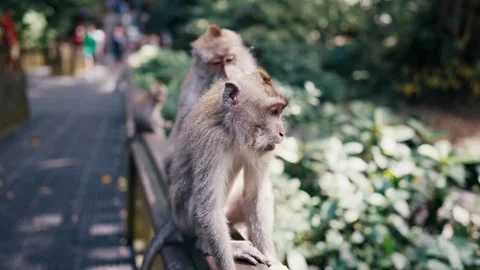 Tired Of Cleaning Stock Videos – Royalty-Free HD & 4K Videos | Pond5