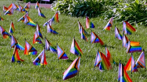 Little rainbow colored pride flags on g... | Stock Video | Pond5