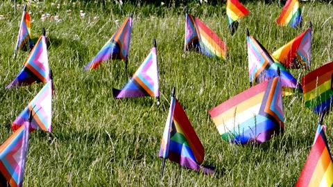Little rainbow colored pride flags on g... | Stock Video | Pond5