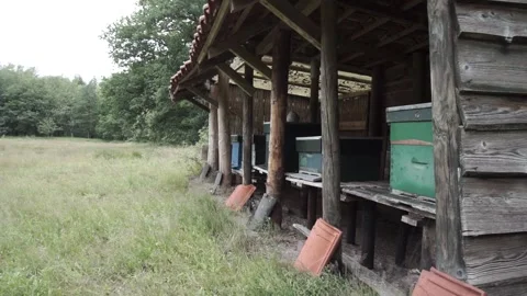 Shed Production Stock Videos – Royalty-Free HD & 4K Videos