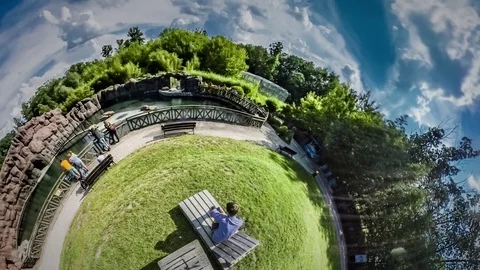 360 Vr Animals Stock Footage ~ Royalty Free Stock Videos | Pond5