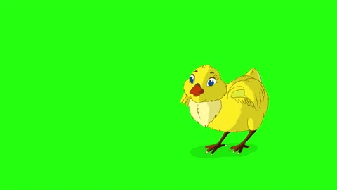 Goanimate Chicken Little Stock Footage ~ Royalty Free Stock Videos | Pond5