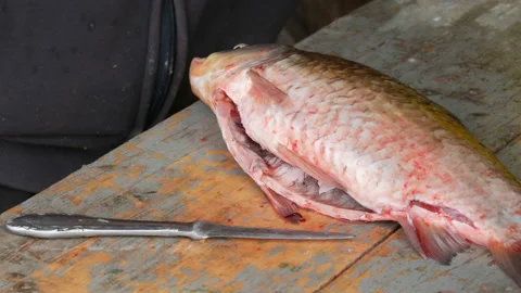 Breathing Belly Stock Footage ~ Royalty Free Stock Videos | Pond5