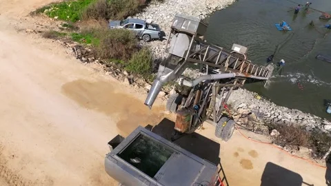 Live Fish dropping into a water tank fre... | Stock Video | Pond5