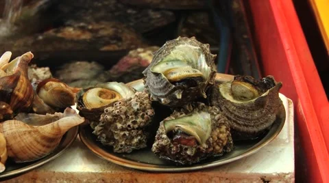 Live seashells at the fish market in Bus... | Stock Video | Pond5