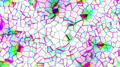 This Way Please Stock Videos – Royalty-Free HD & 4K Videos