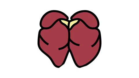 liver chicken color icon animation | Stock Video | Pond5