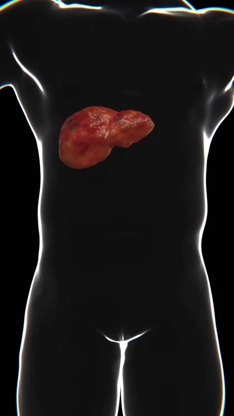 Bilet Video Stock Videos – Royalty-Free HD & 4K Videos