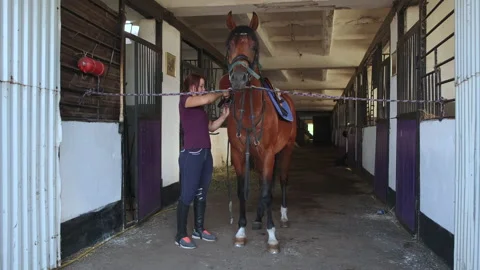 Horse Mounts Woman Stock Videos – Royalty-Free HD & 4K Videos