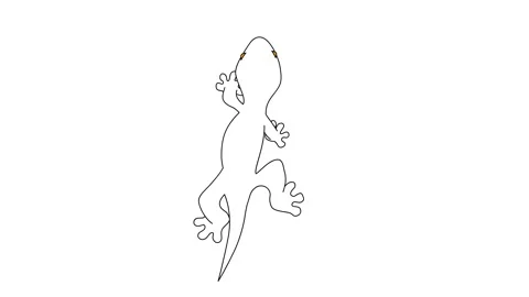 Lizard Walking On Wall Animation, Cartoo... | Stock Video | Pond5