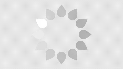 Loading Animation Icon on Transparent Ba... | Stock Video | Pond5