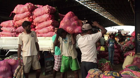 Gross Vegetables Stock Videos – Royalty-Free HD & 4K Videos