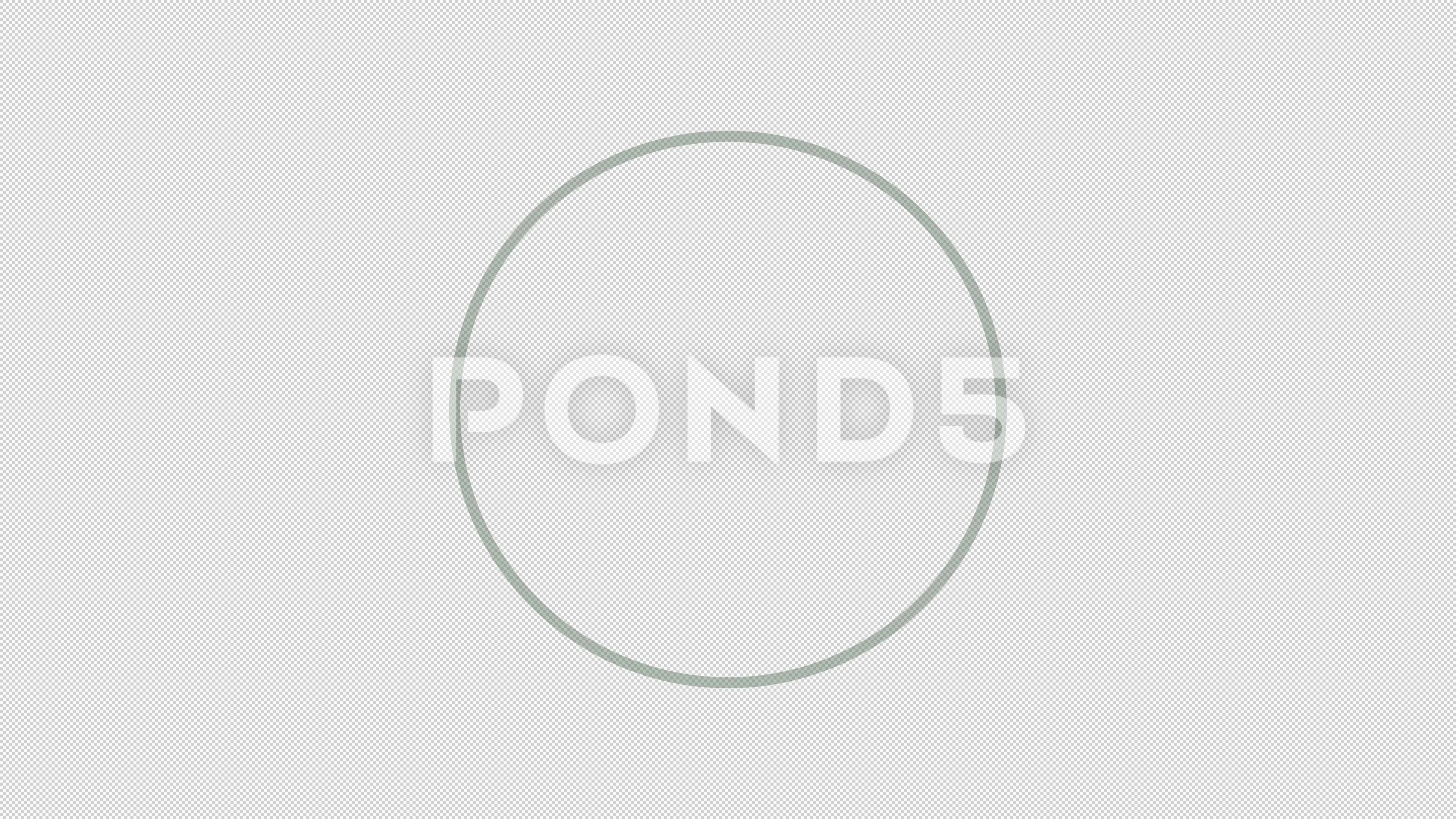 Instagram Loading Bar