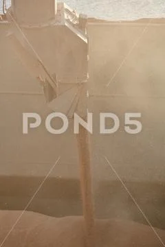 Loading corn onto a bulk carrier ship in the port at the grain terminal ...