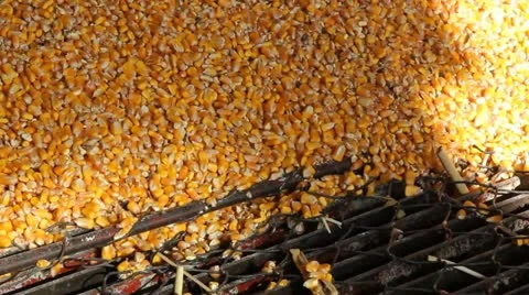 Silo Stock Footage ~ Royalty Free Stock Videos | Pond5