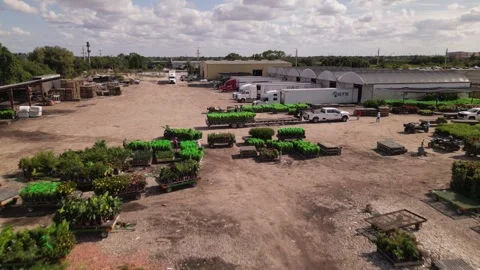 loading flowers and plants to transporta... | Stock Video | Pond5