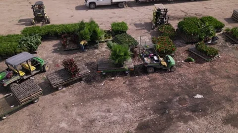 loading flowers and plants to transporta... | Stock Video | Pond5