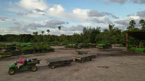 loading flowers and plants to transporta... | Stock Video | Pond5