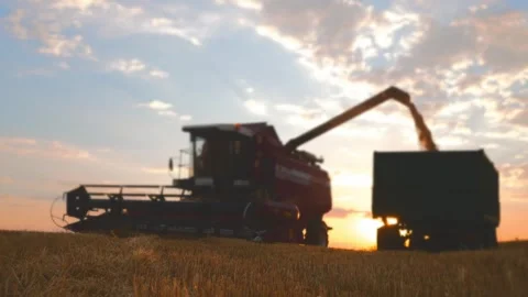 Loading grain from grain harvester combi... | Stock Video | Pond5