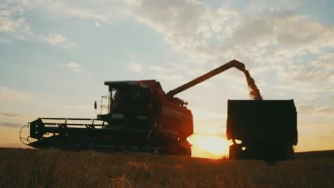 Loading grain from grain harvester combi... | Stock Video | Pond5