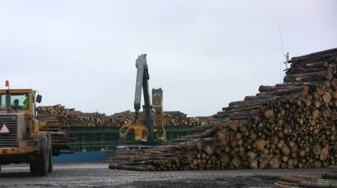 Loading ship with timber | Stock Video | Pond5