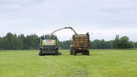 loading silage in the tractor cart in th... | Stock Video | Pond5