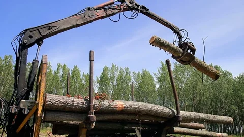 Full Logs Stock Videos – Royalty-Free HD & 4K Videos | Pond5