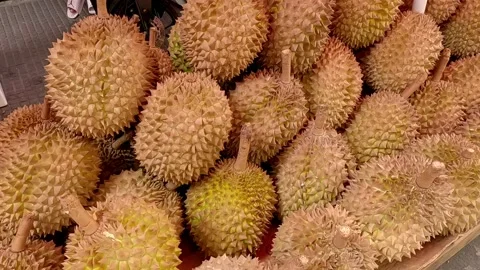 Davao Durian Stock Footage ~ Royalty Free Stock Videos | Pond5
