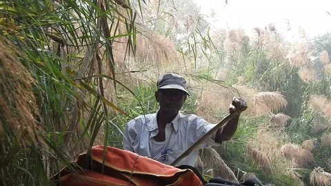 Rowing Boat Peddles Stock Videos – Royalty-Free HD & 4K Videos