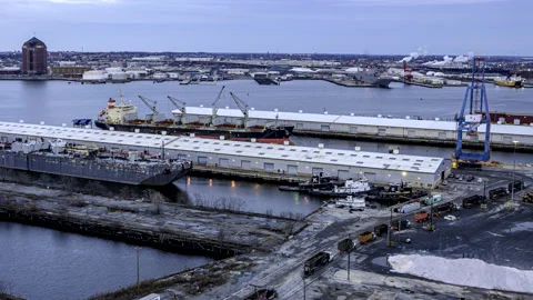 Locust Stock Videos – Royalty-Free HD & 4K Videos