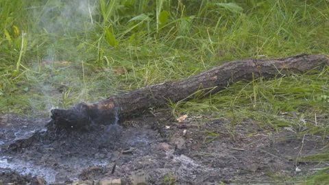 A log in a dying smoking fire on backgro... | Stock Video | Pond5