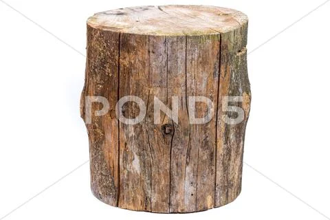 Log isolated on a white background ~ Premium Photo #40350989