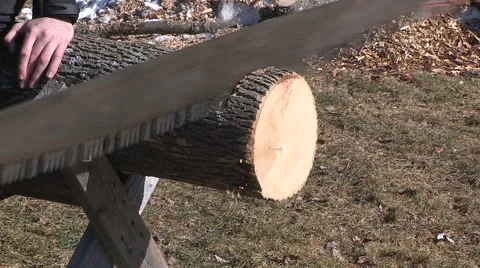 Log sawing competition on college campus | Stock Video | Pond5