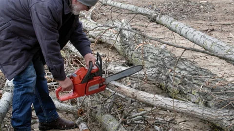 logger, elderly man in glasses using a c... | Stock Video | Pond5