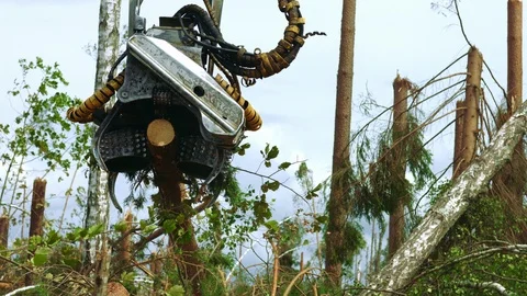 Logger with robotic arm lifting and sawi... | Stock Video | Pond5