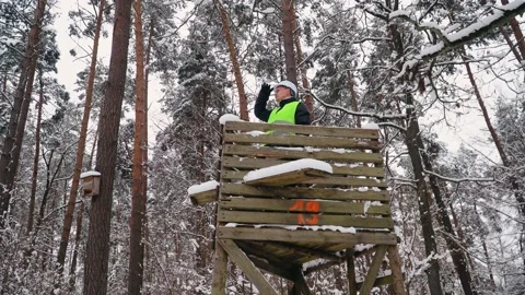 Logger with safety gear in forest standi... | Stock Video | Pond5