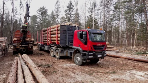 Logging Company Stock Footage ~ Royalty Free Stock Videos | Pond5