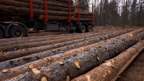 Logging Company Stock Footage ~ Royalty Free Stock Videos | Pond5